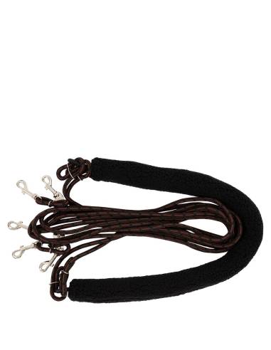 Premiere Pessoa Lunging Aid